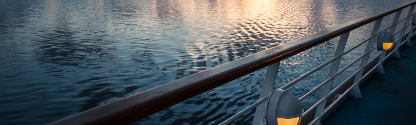 Foreship makes key project management appointment to drive cruise ship ...